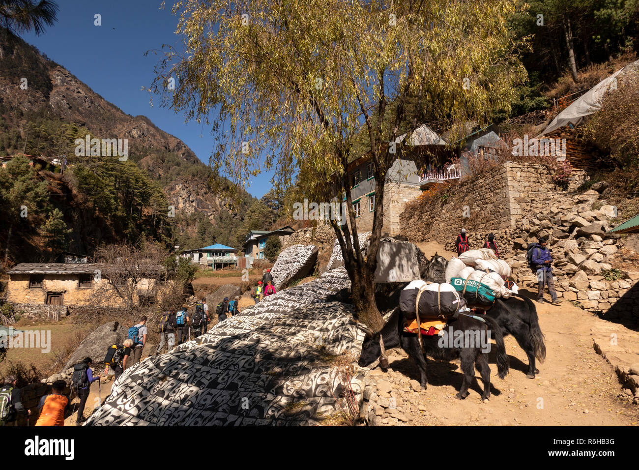Nepal, Monju, (Manjo) pack animals resting beside, huge mani stones at ...