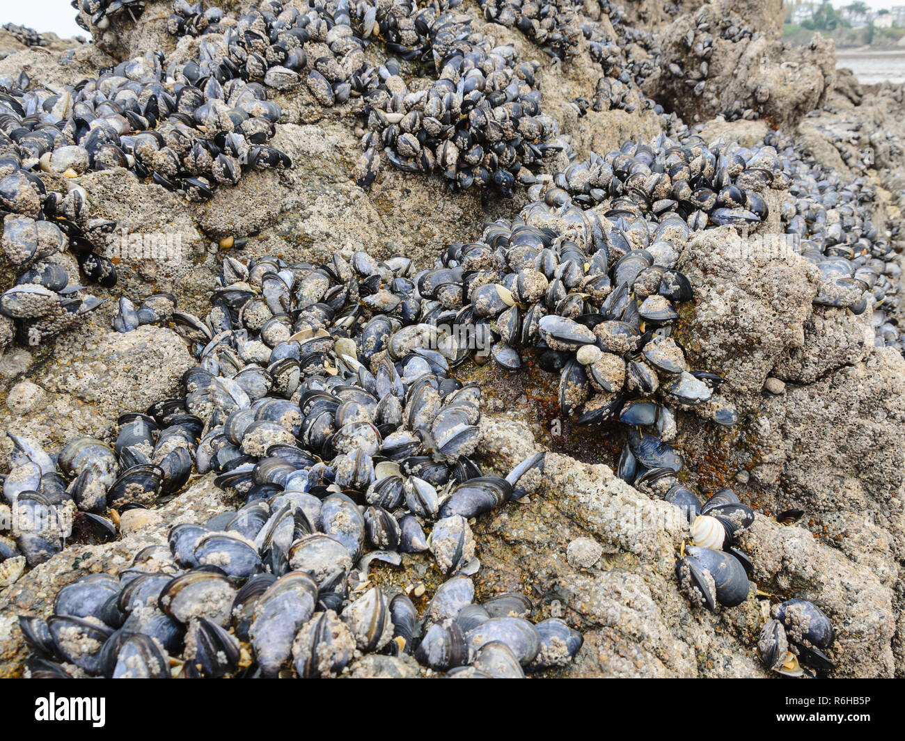 Bunch of rocks hi-res stock photography and images - Alamy