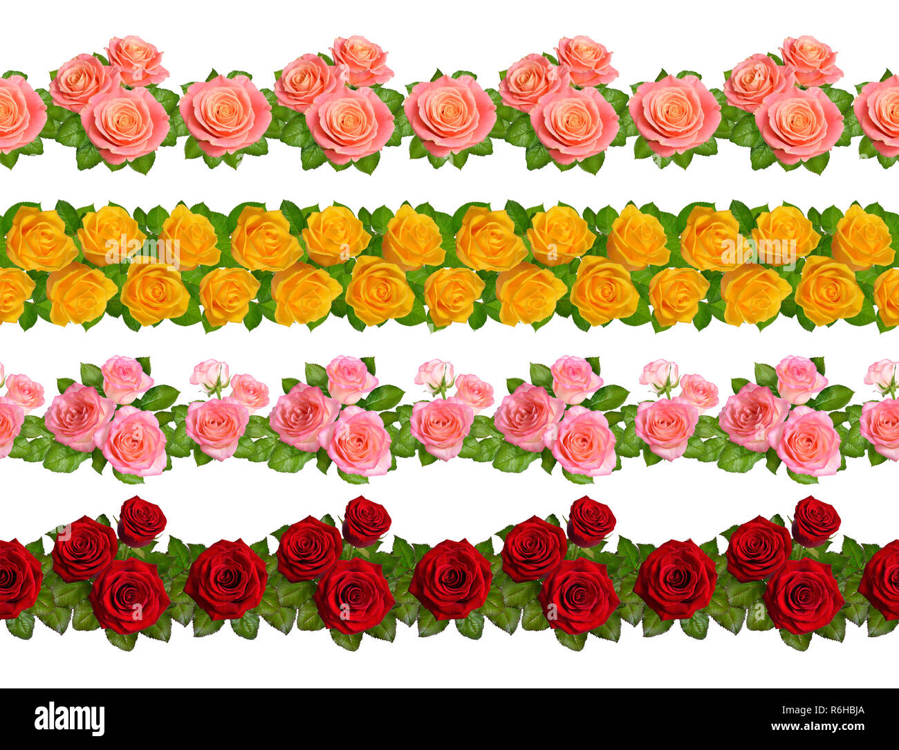 Set of Seamless borders with roses. Isolated on white background Stock ...