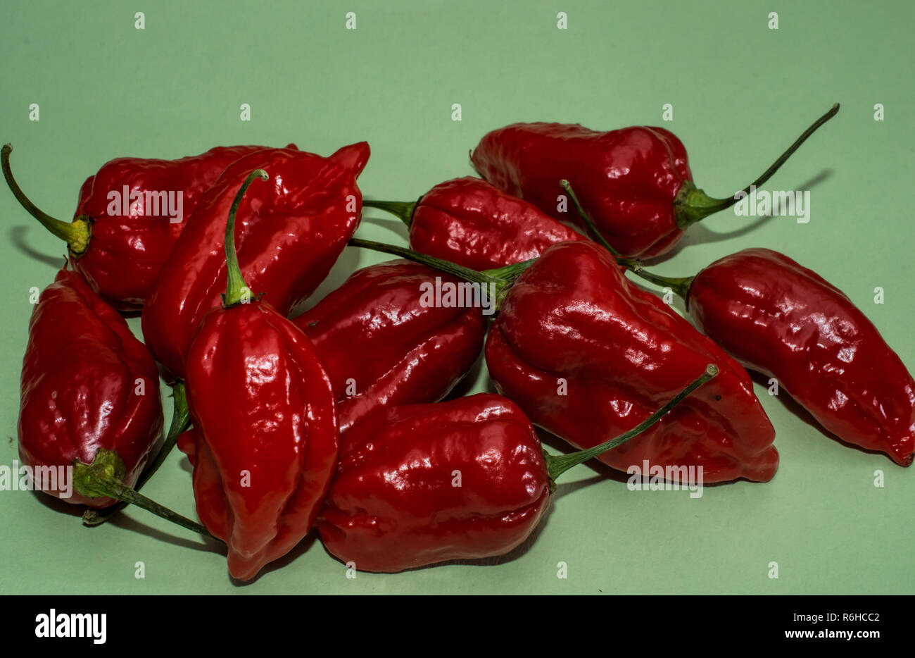 Capsicum Chinense Naga Morich High Resolution Stock Photography and ...