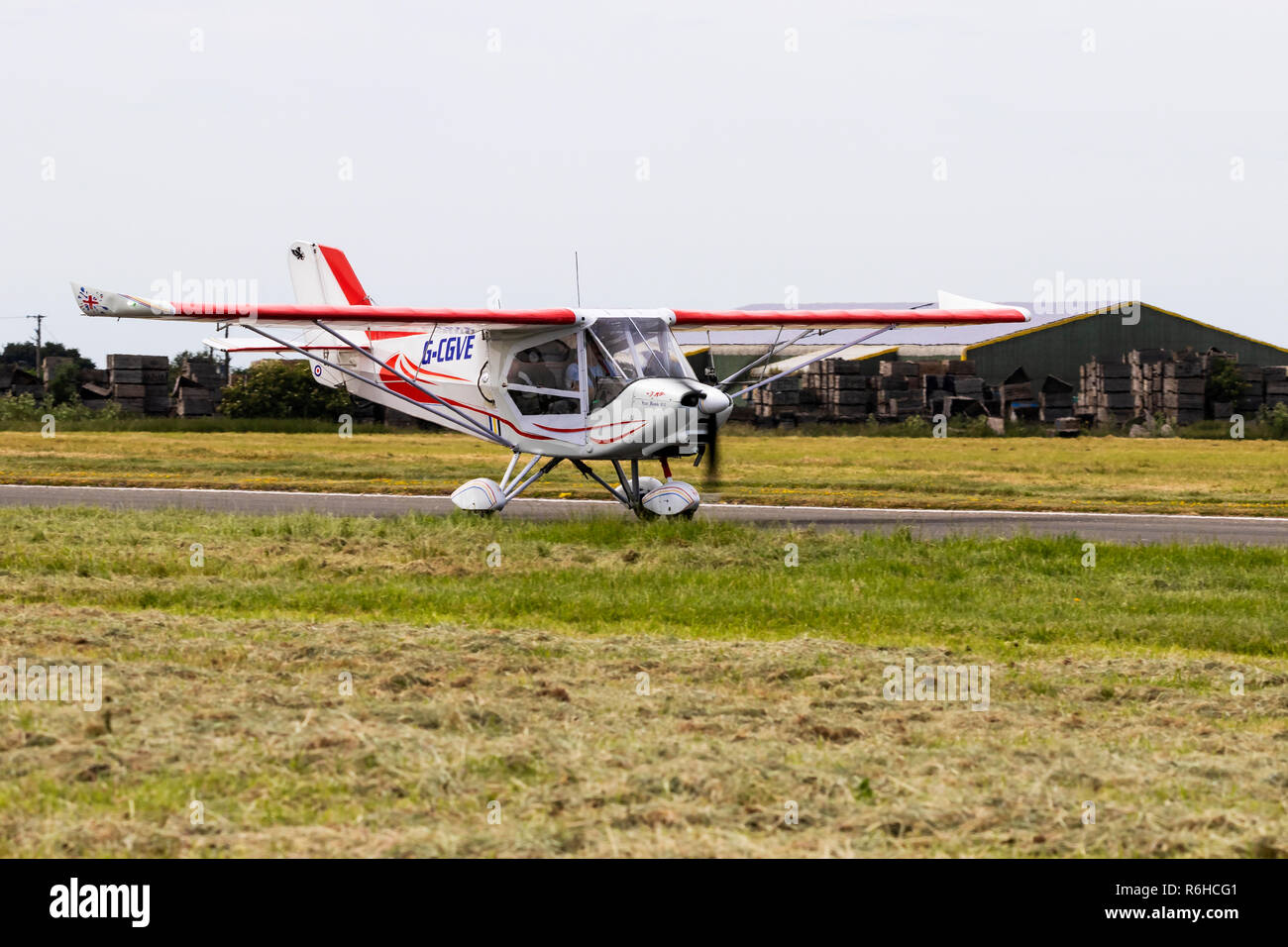 Hawk nose hi-res stock photography and images - Alamy