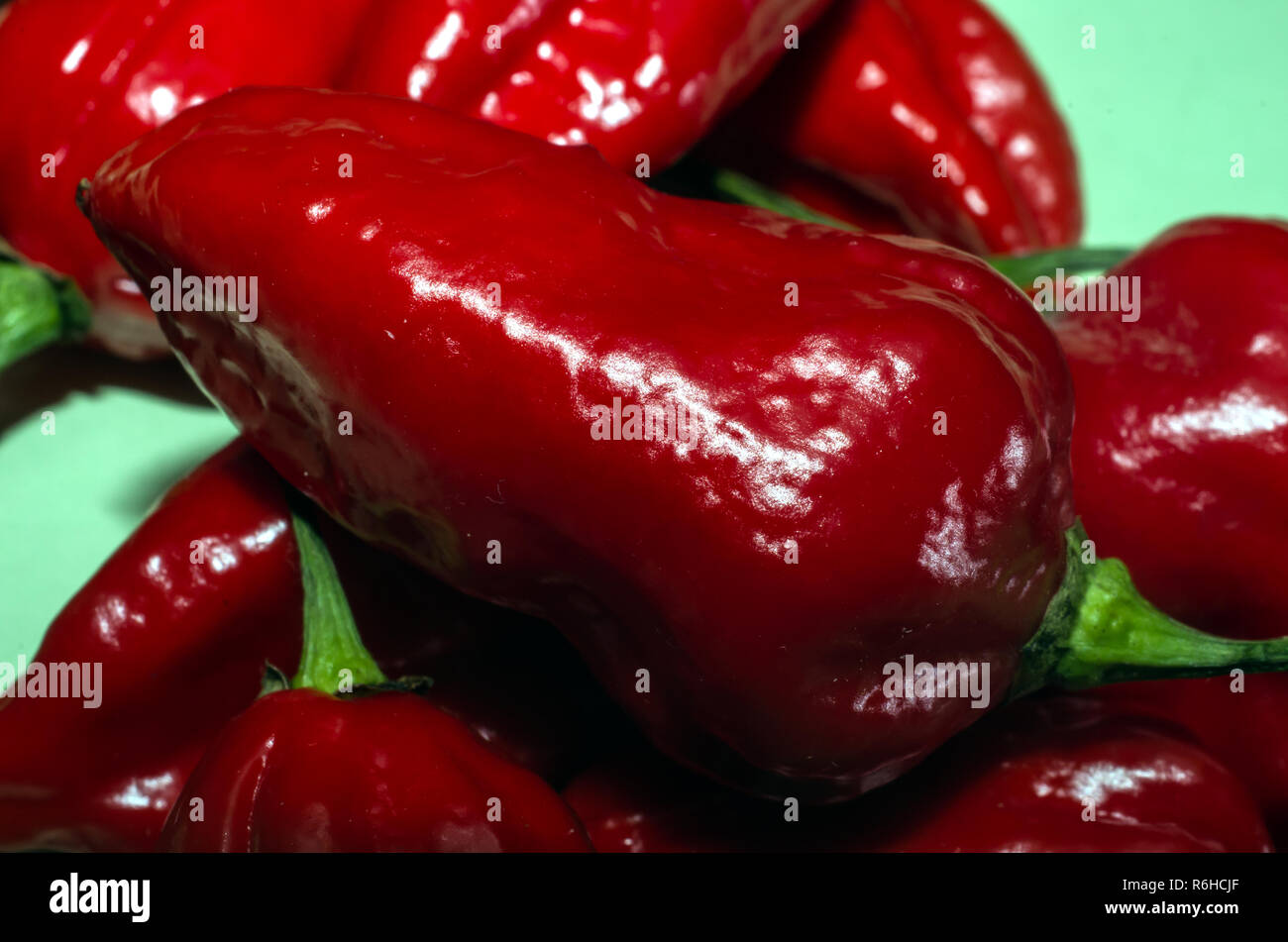 Capsicum Chinense Naga Morich High Resolution Stock Photography and ...