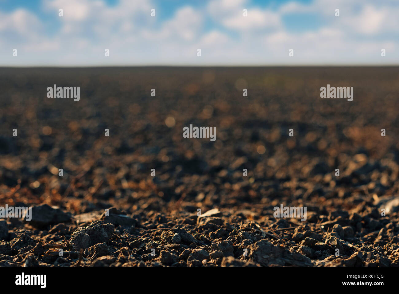 Shallow ploughing hi-res stock photography and images - Alamy