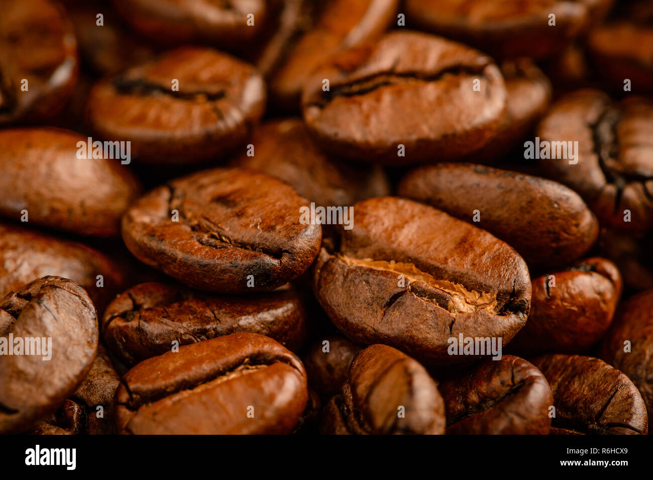 Arabicabohne hi-res stock photography and images - Alamy
