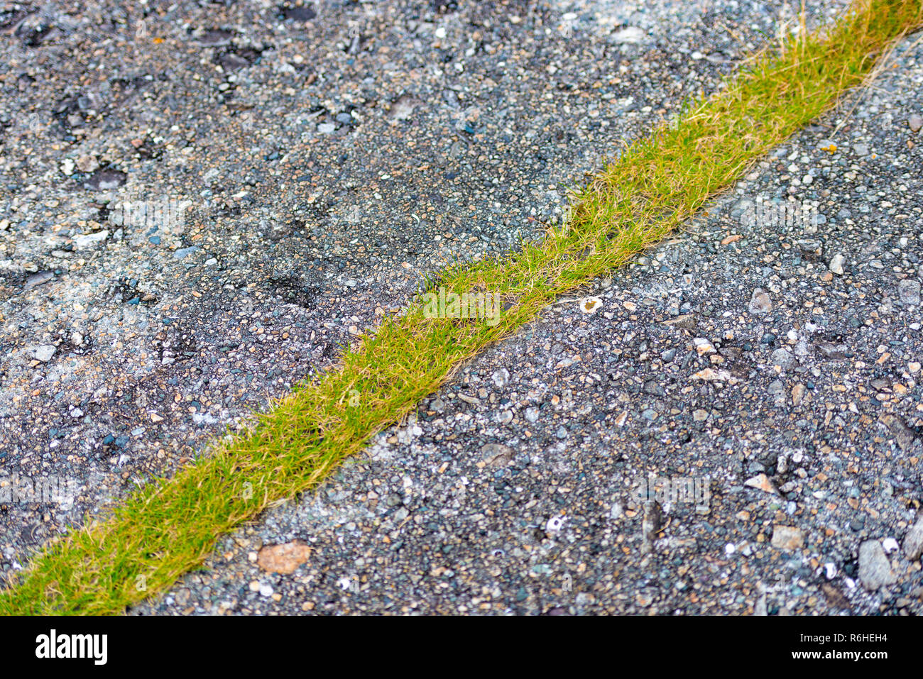 Asphalt road with stripe on grass Stock Photo - Alamy