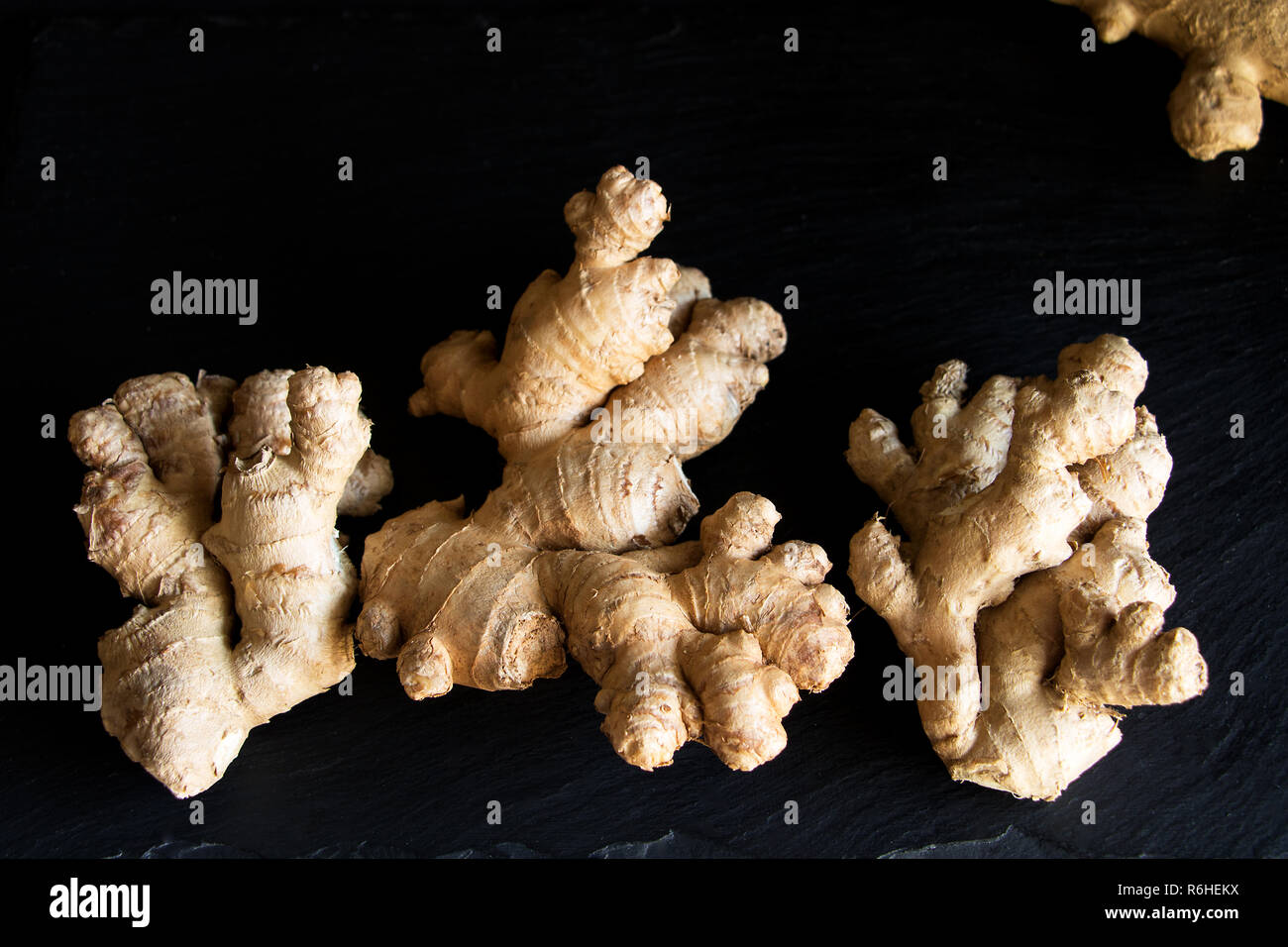 the ginger root,medicinal and culinary plant and the medicinal plant ...