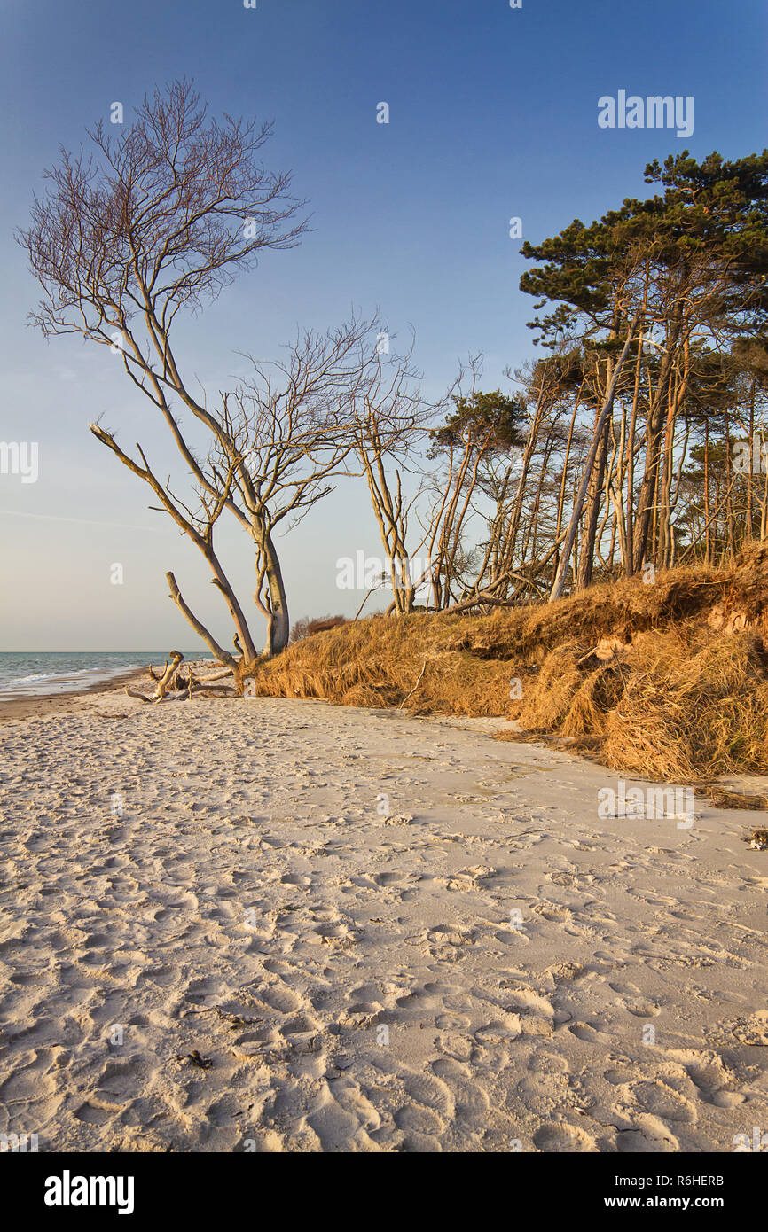 Windfluechter hi-res stock photography and images - Alamy