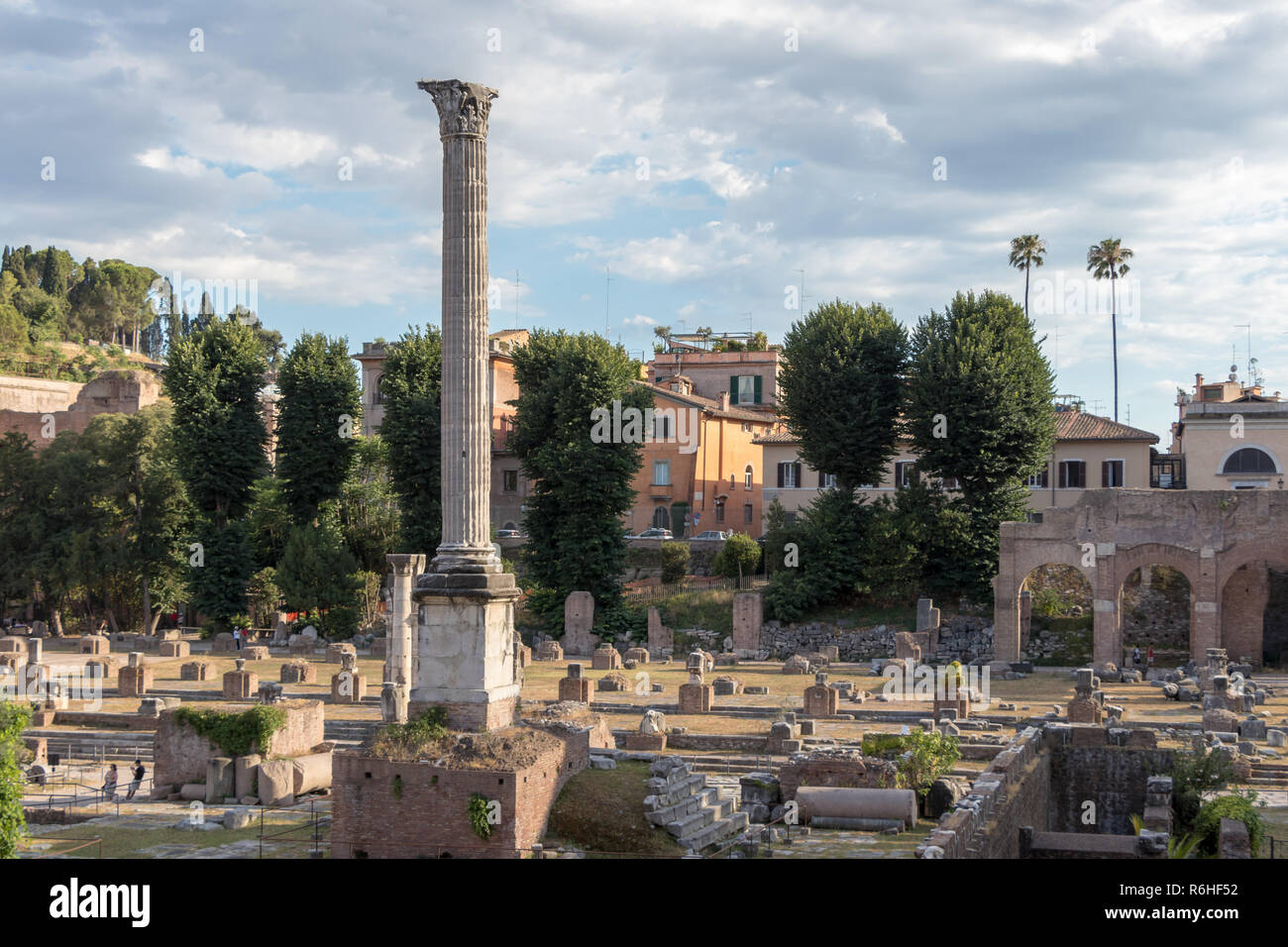 Ancient ruins of Basilica Julia, Rome, Italy Stock Photo - Alamy