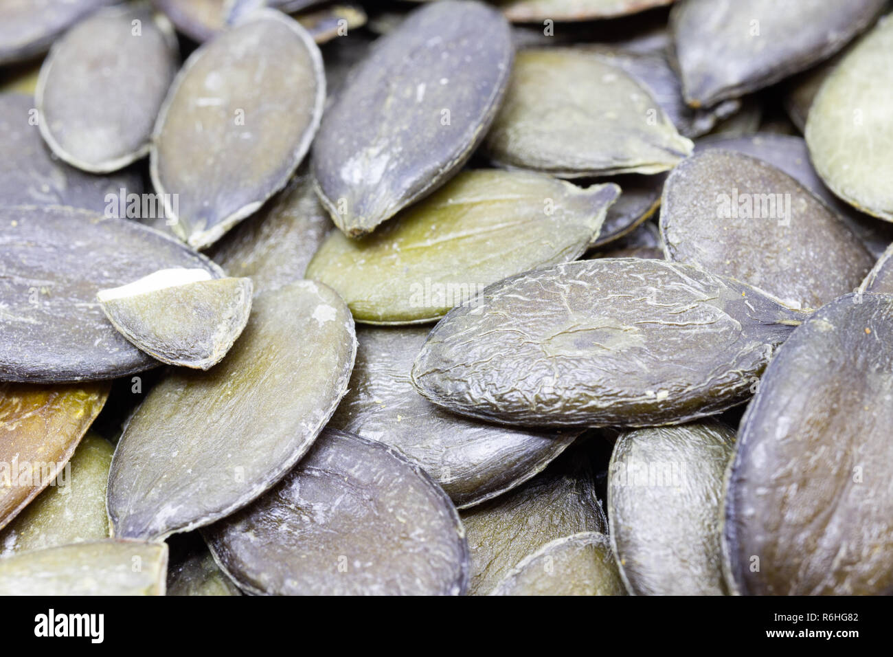 Pumpkin seed (Cucurbita pepo) macro Stock Photo - Alamy