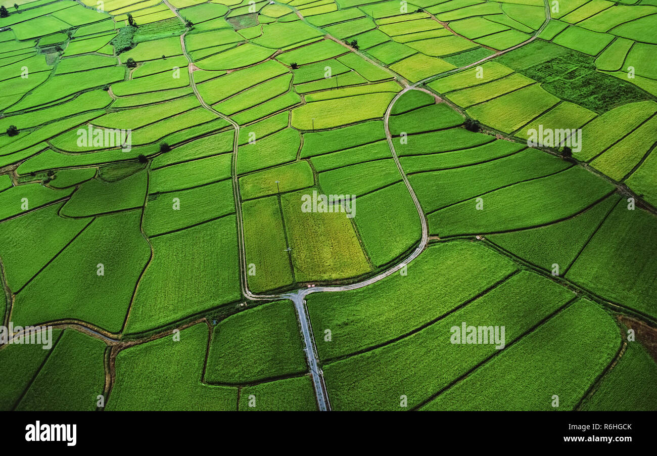 Paddy Texture High Resolution Stock Photography and Images - Alamy