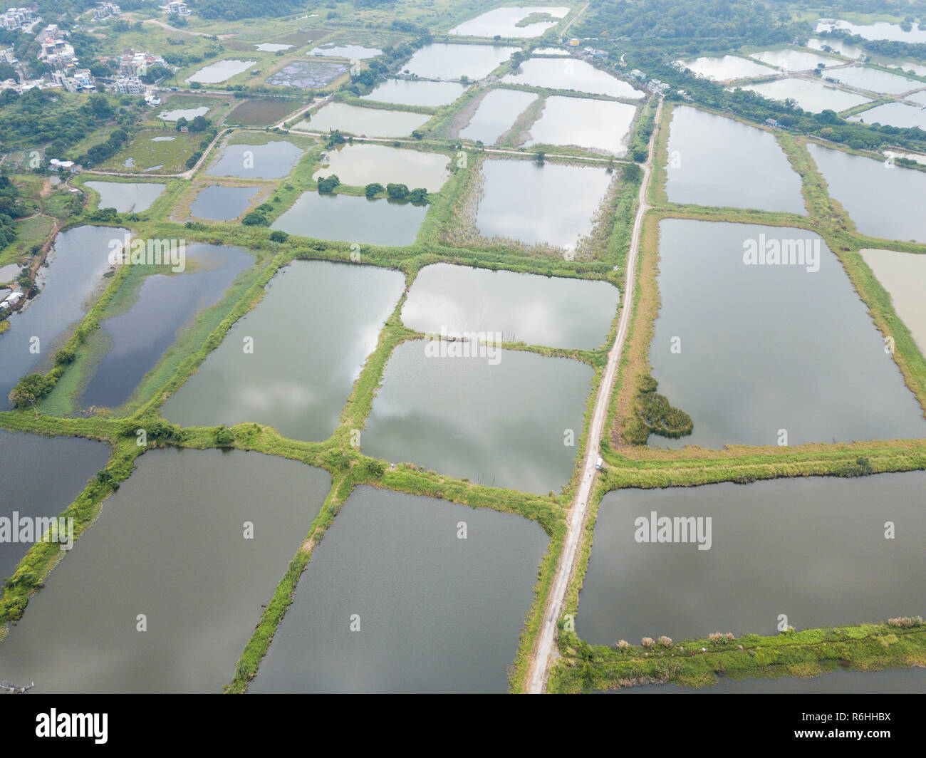 Top view of Fish pond in Hong Kong Stock Photo - Alamy