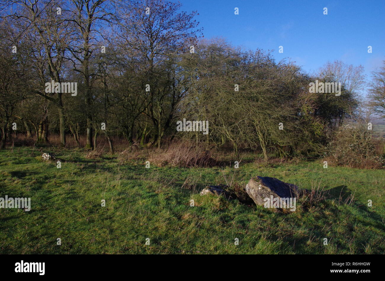 stones that formed a burial chamber near Chastleton.The Macmillan Way ...