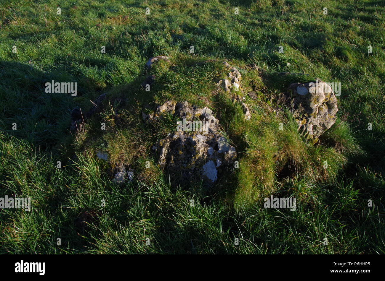 stones that formed a burial chamber near Chastleton.The Macmillan Way ...