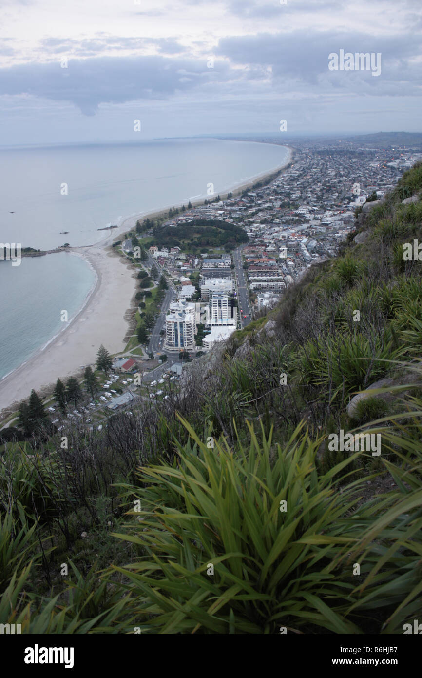 Mount maunganui aerial hi-res stock photography and images - Alamy