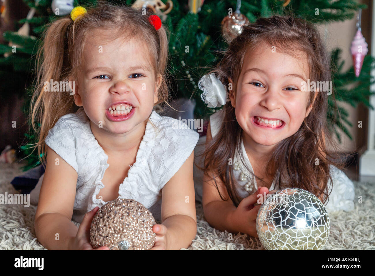 Two pretty sisters laugh and show teeth next to the Christmas tree. The ...