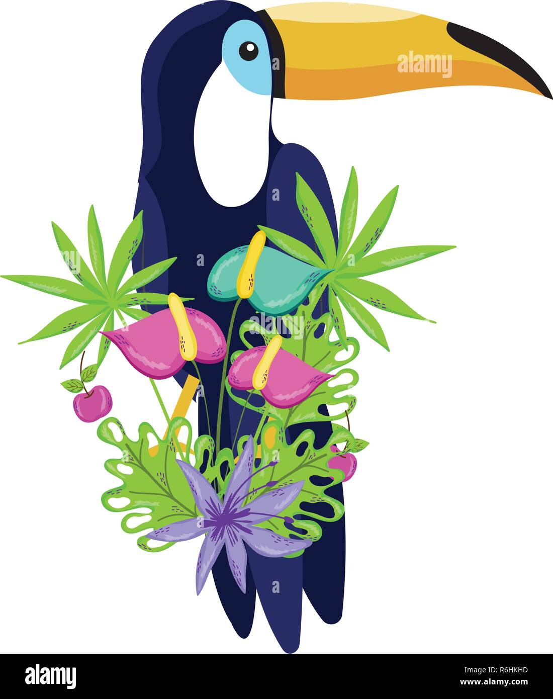 tropical bird tucano cartoon Stock Vector Image & Art - Alamy