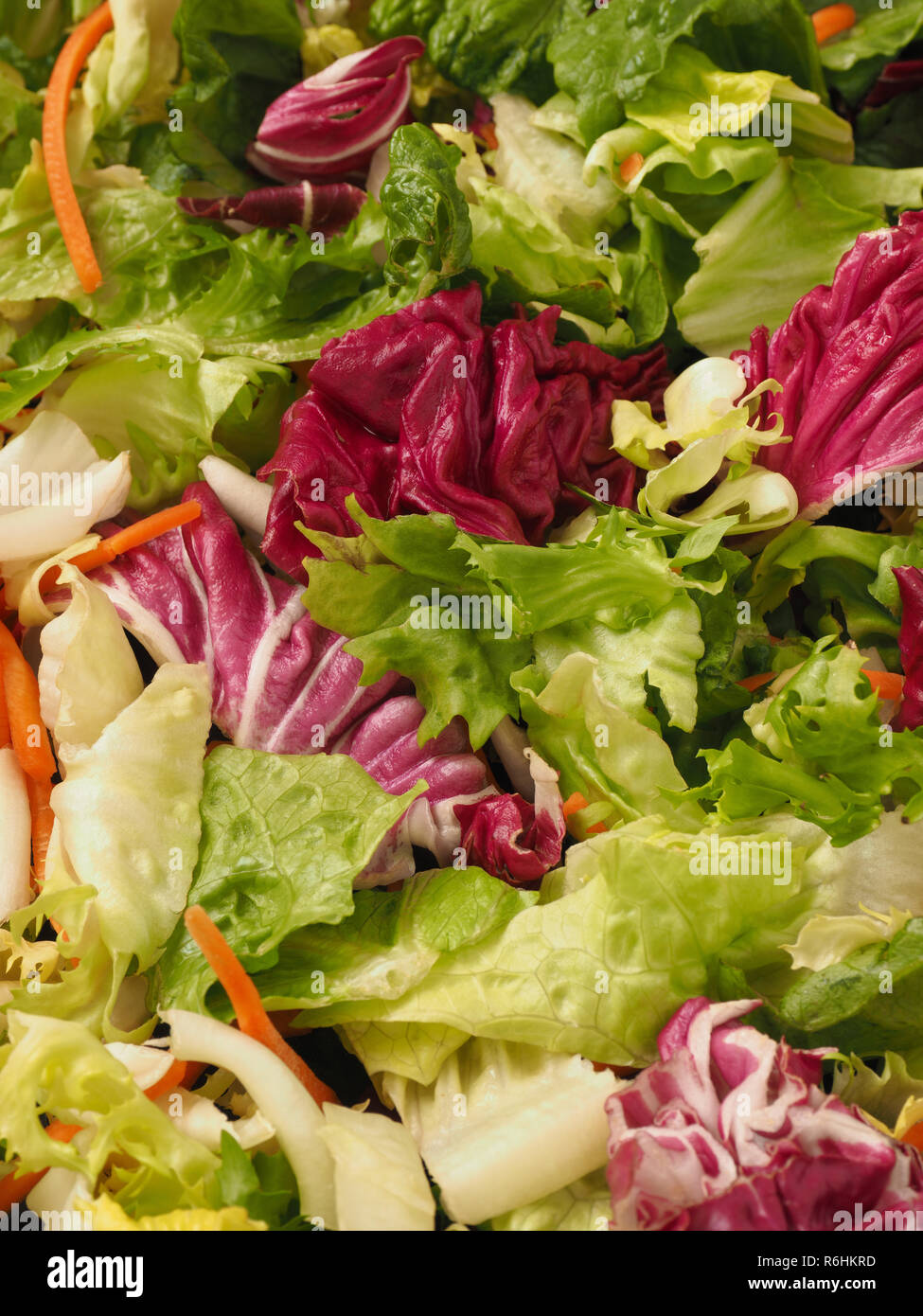 Multicolor lettuce leaf hi-res stock photography and images - Alamy