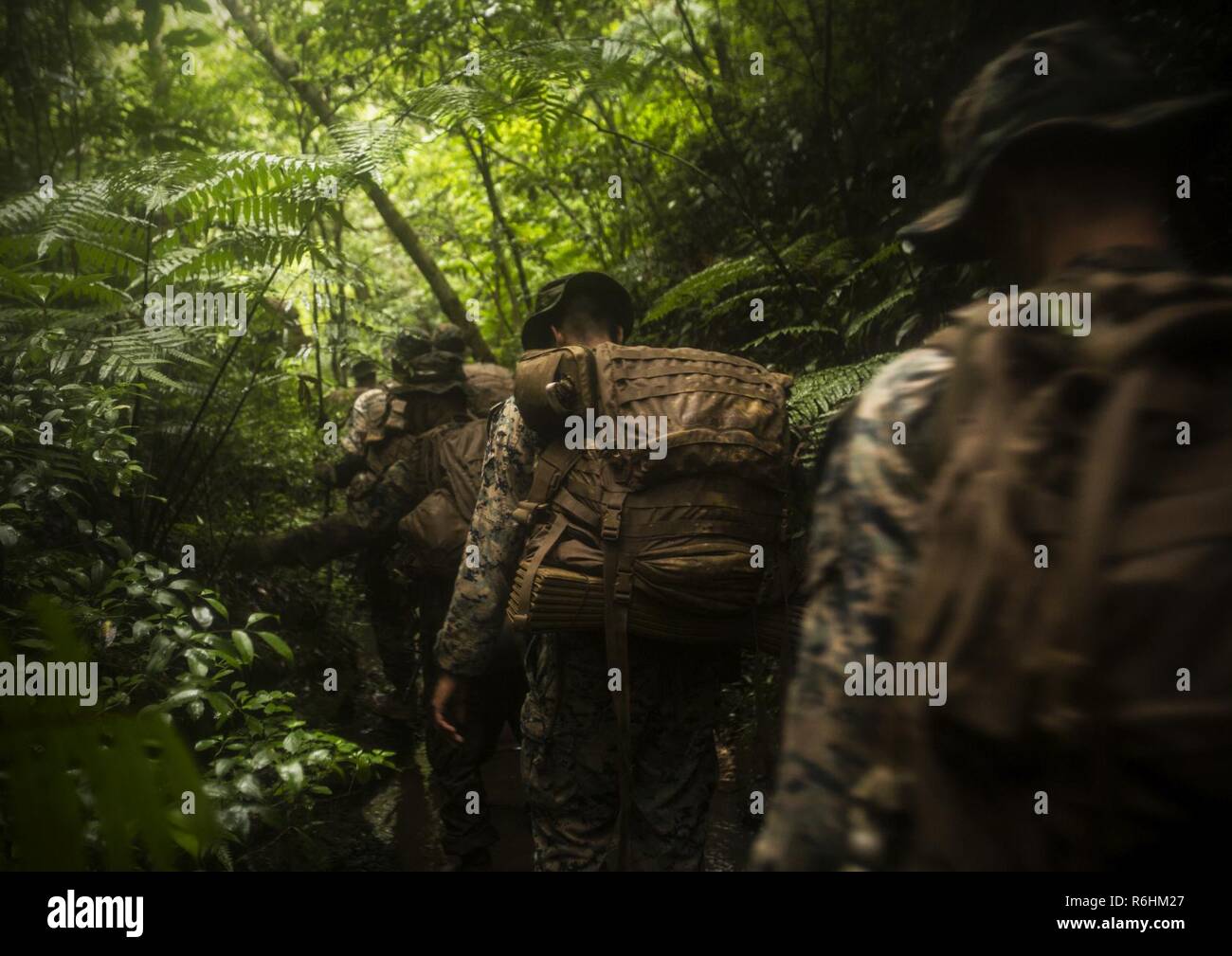 Jungle Warfare Training Center Stock Photos & Jungle Warfare Training ...