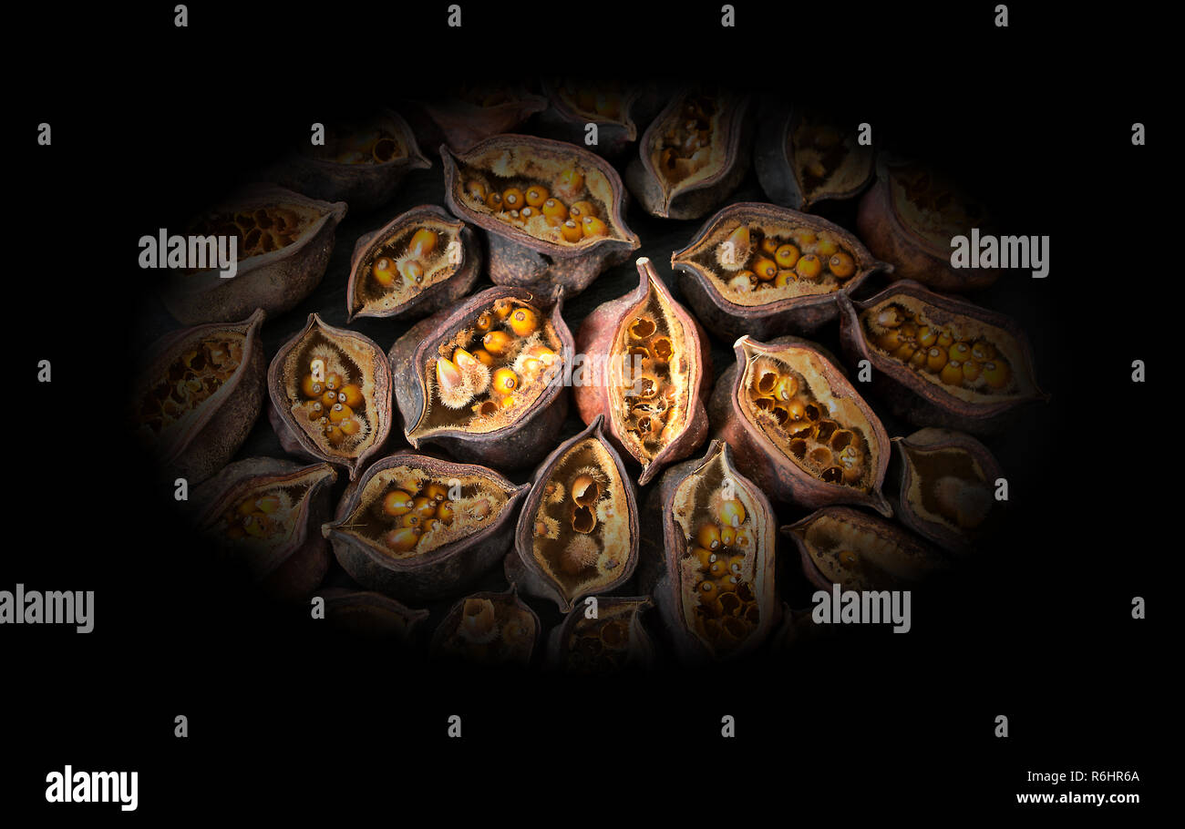 Texturierung hi-res stock photography and images - Alamy