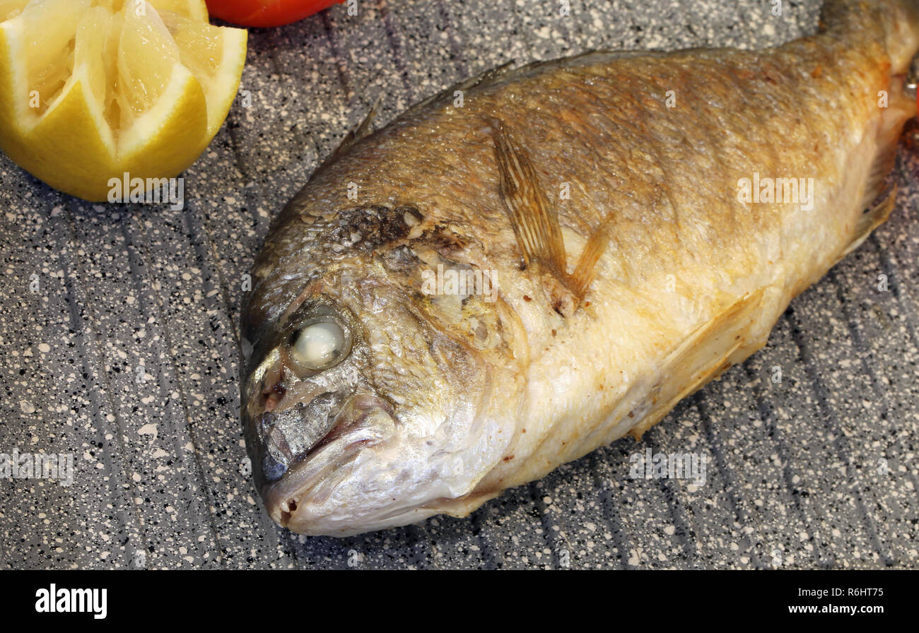 Sea bream fish grilled in the pan restaurant specializes in seafood ...