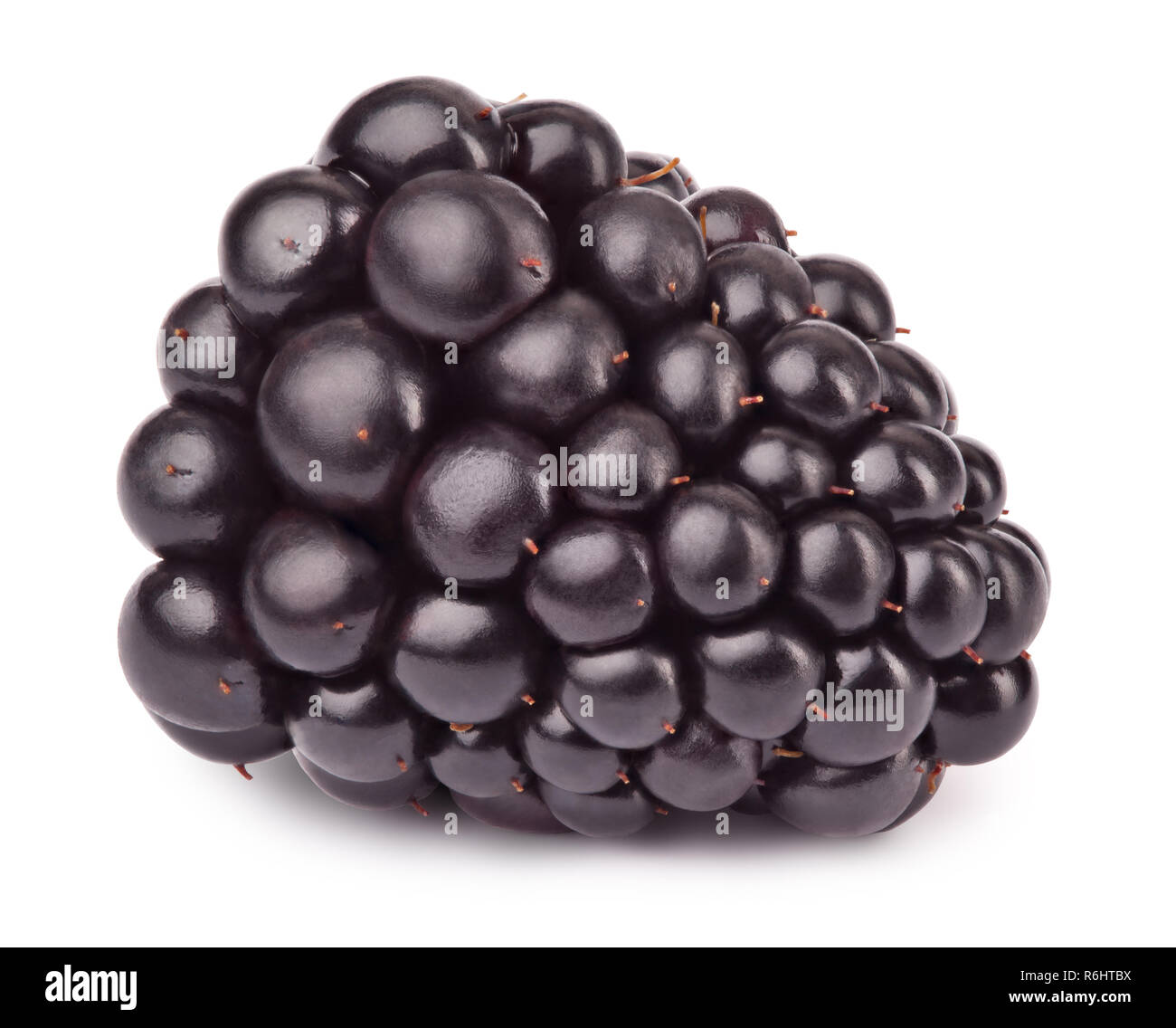 Ripe blackberry isolated on white background with clipping path Stock ...