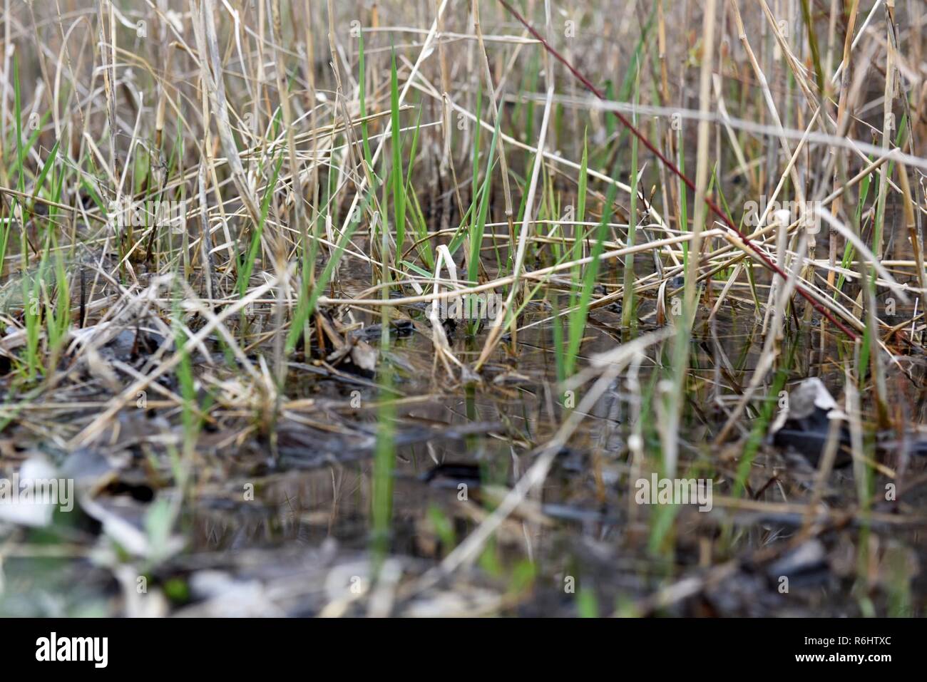 Impact water ditch hi-res stock photography and images - Alamy