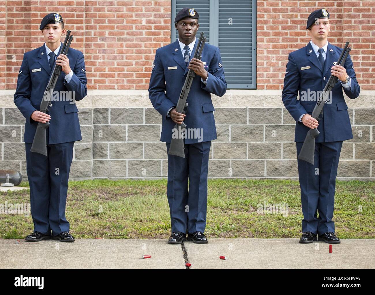 Shells with names hi-res stock photography and images - Alamy
