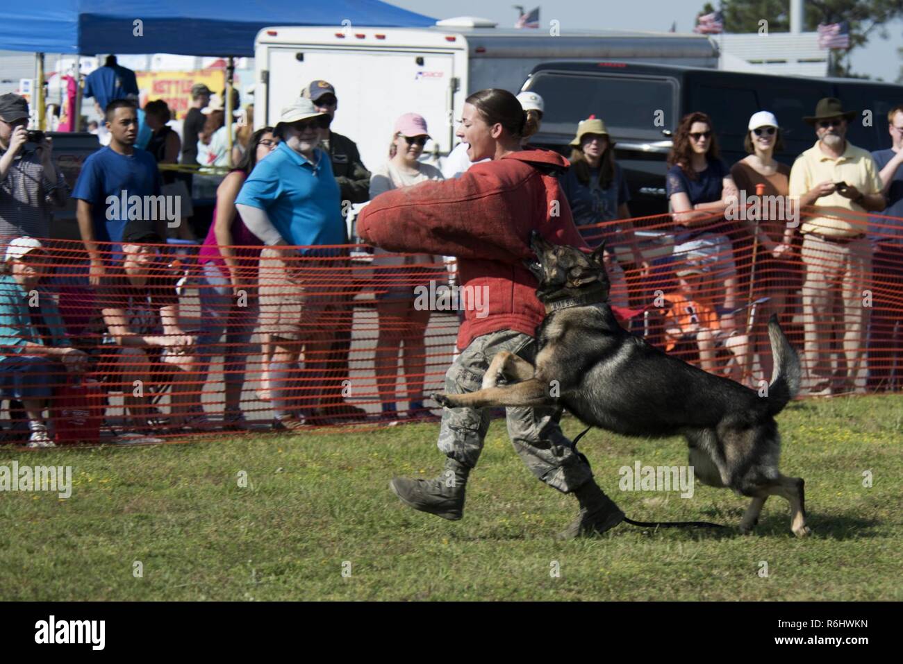 Narcotics detection dogs hi-res stock photography and images - Alamy