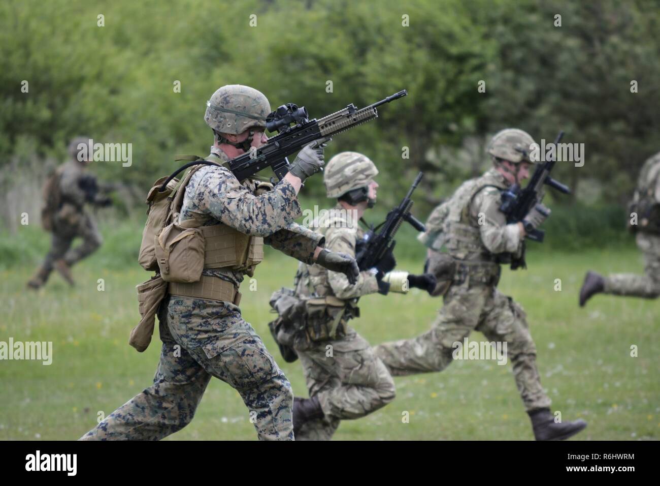 U.S. Marines and Royal Marines run towards the firing line at a range ...