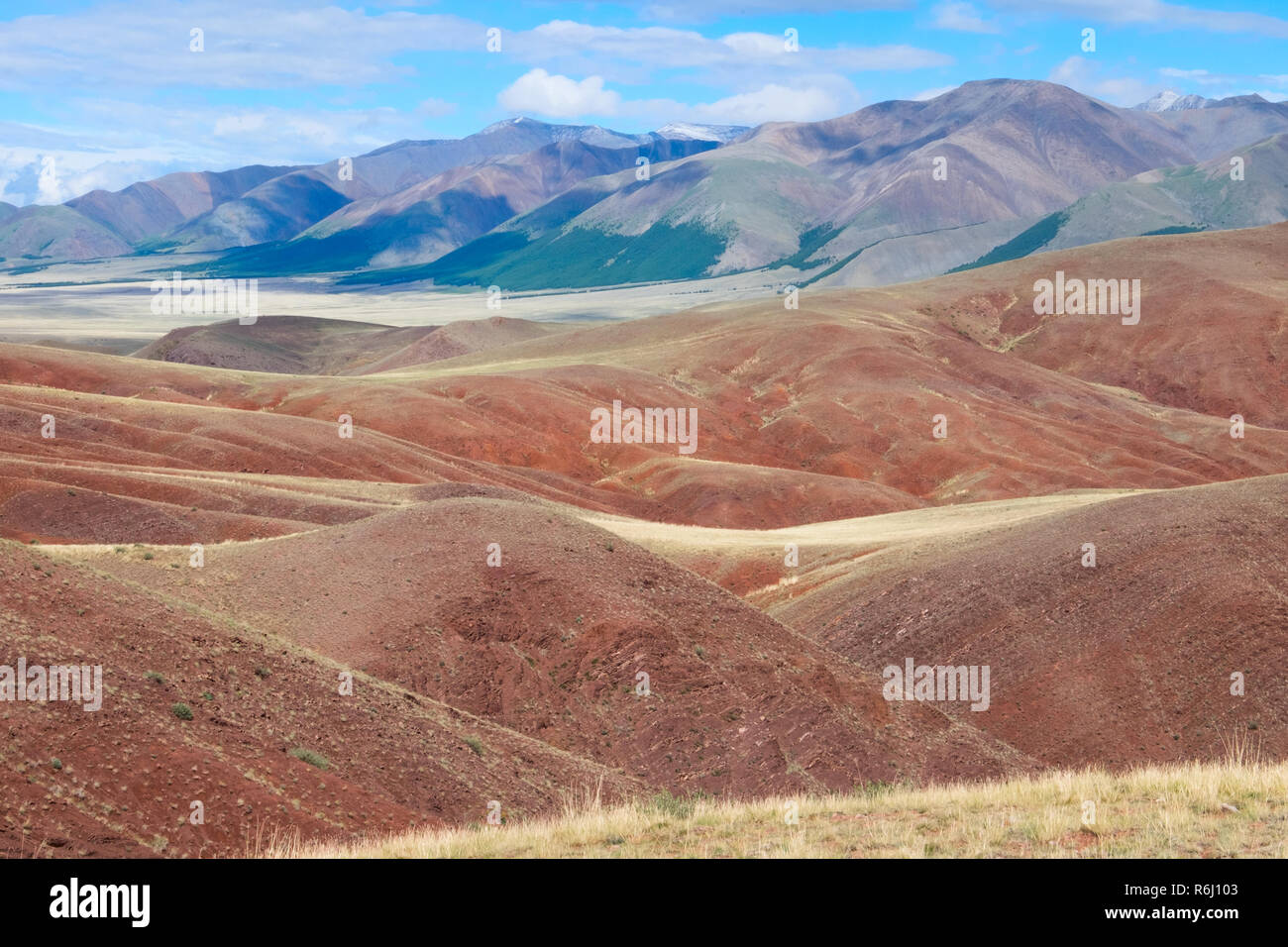 Red soil and Golden grass. Velvet landscape Stock Photo - Alamy