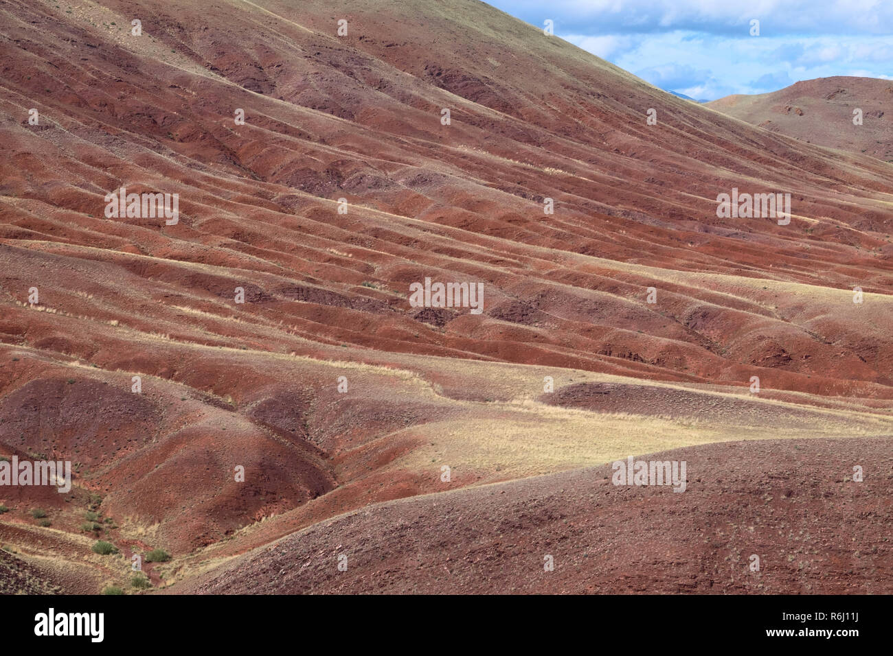 Red soil and Golden grass. Velvet landscape Stock Photo - Alamy