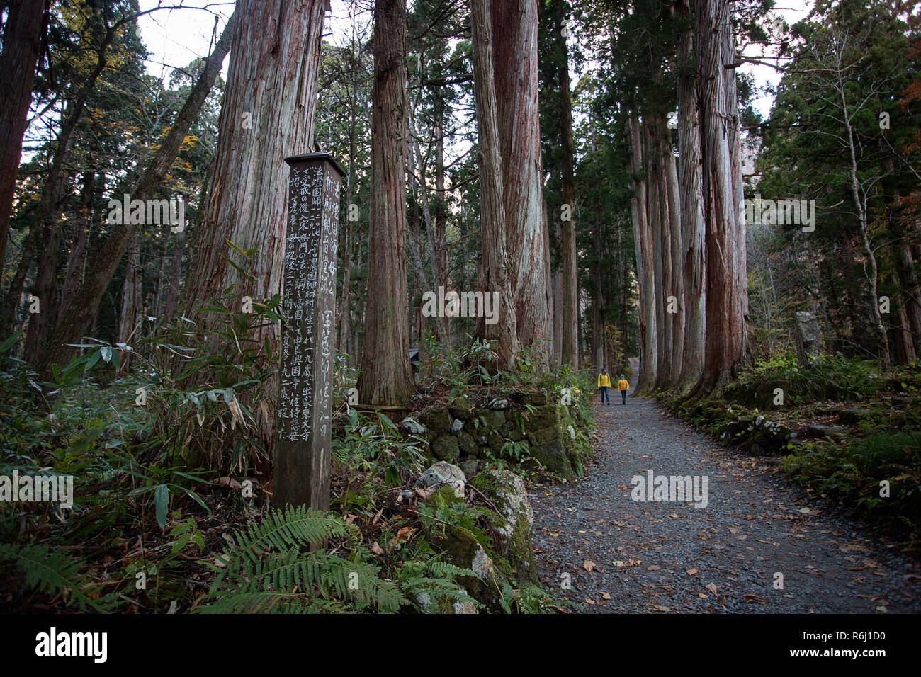 Mother and son in yellow jackets walking on pathway trough ancient ...