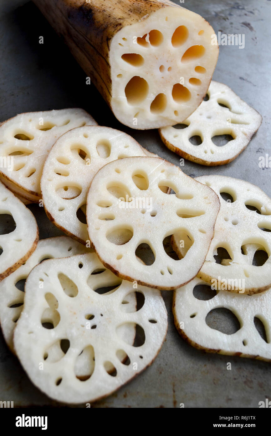 Root Cross Section Stock Photos & Root Cross Section Stock Images - Alamy