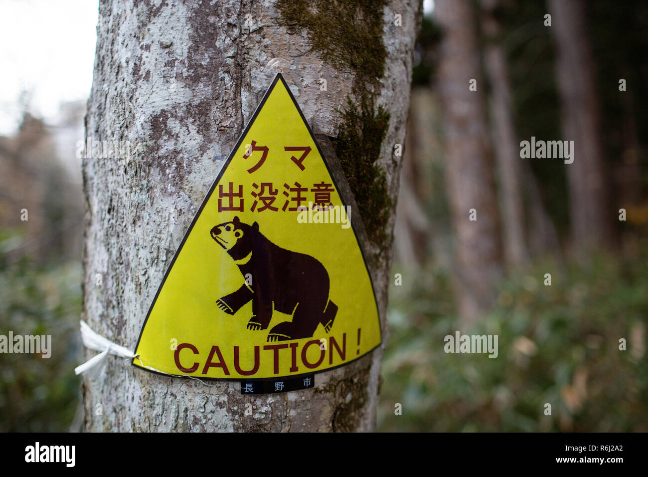 Japanese tree protection hi-res stock photography and images - Alamy