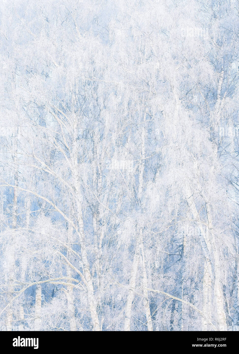 Frost bite hi-res stock photography and images - Alamy