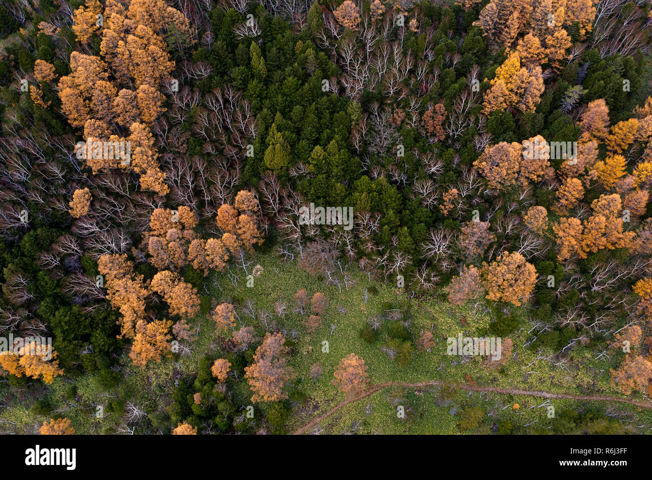 Walkway aerial hi-res stock photography and images - Alamy