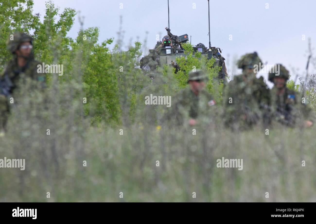 Soldiers of 3 Royal Canadian Regiment participate in a war game ...
