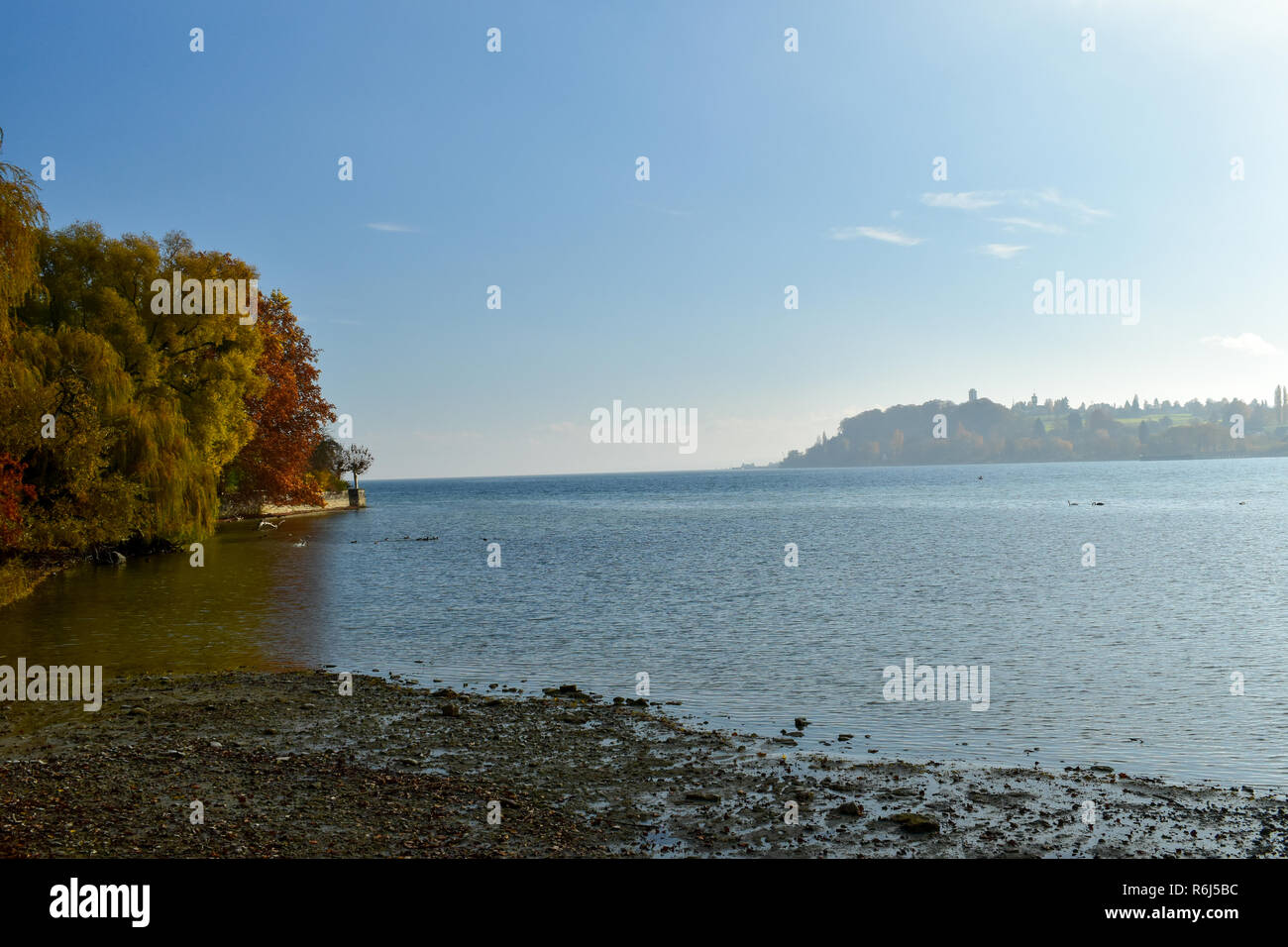 Lake Constance low water Stock Photo - Alamy