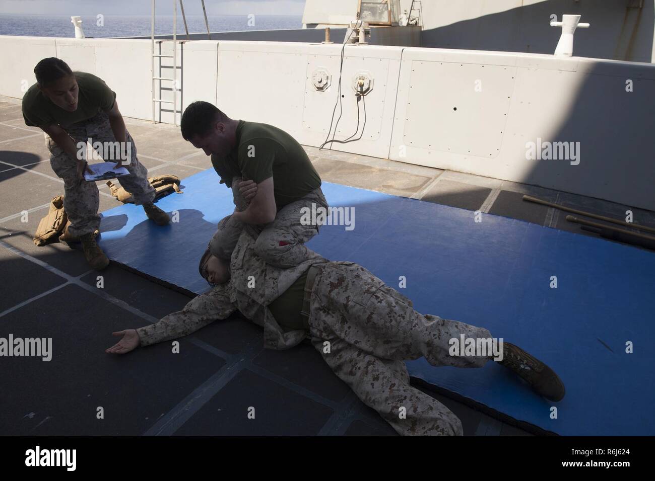 Sgt. Brandi K. Rojas, a Marine Corps Martial Arts Program (MCMAP) brown ...