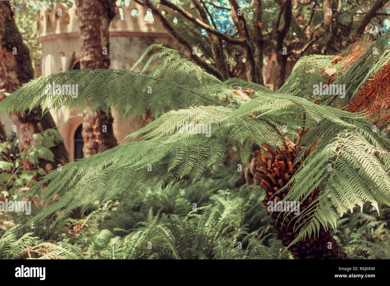 Real fetus hi-res stock photography and images - Alamy