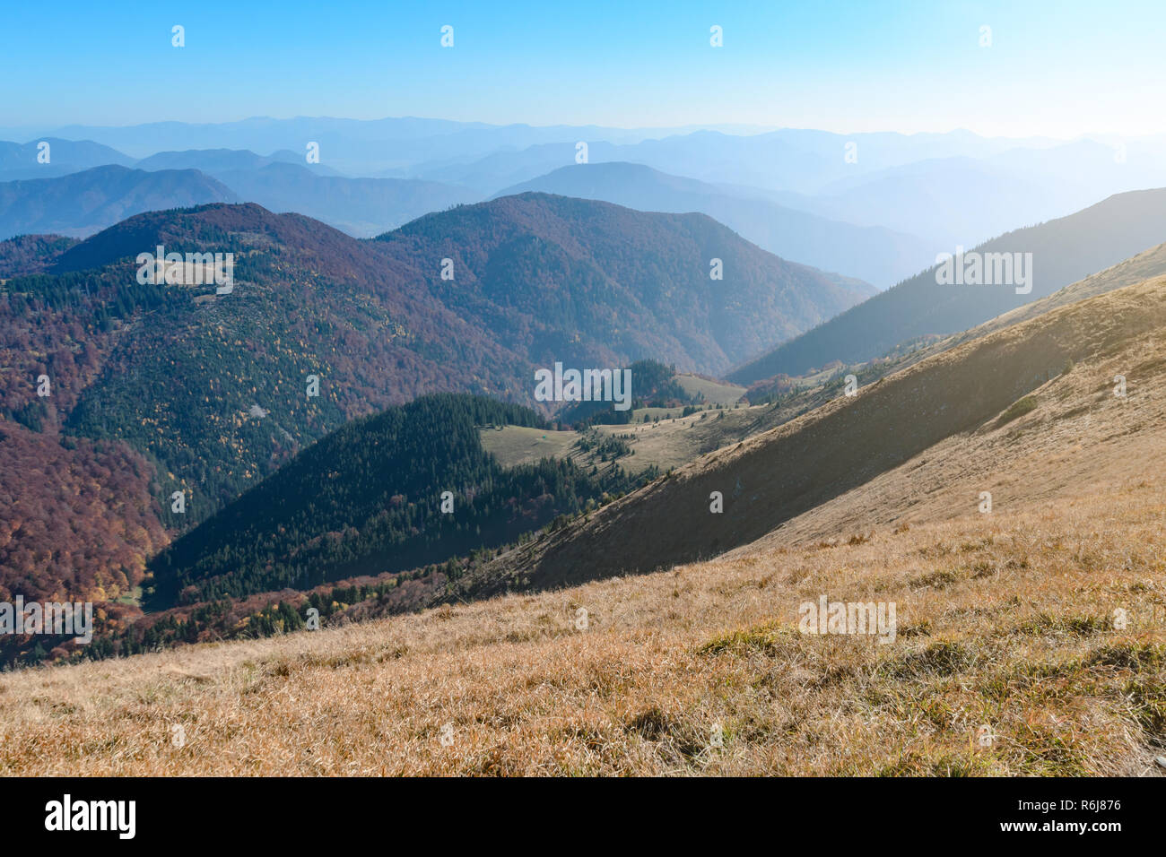 View the meadows in The Vratna valley at the national park Mala Fatra ...