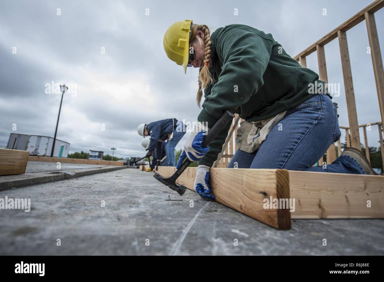 Wayne Mcdonald High Resolution Stock Photography and Images - Alamy