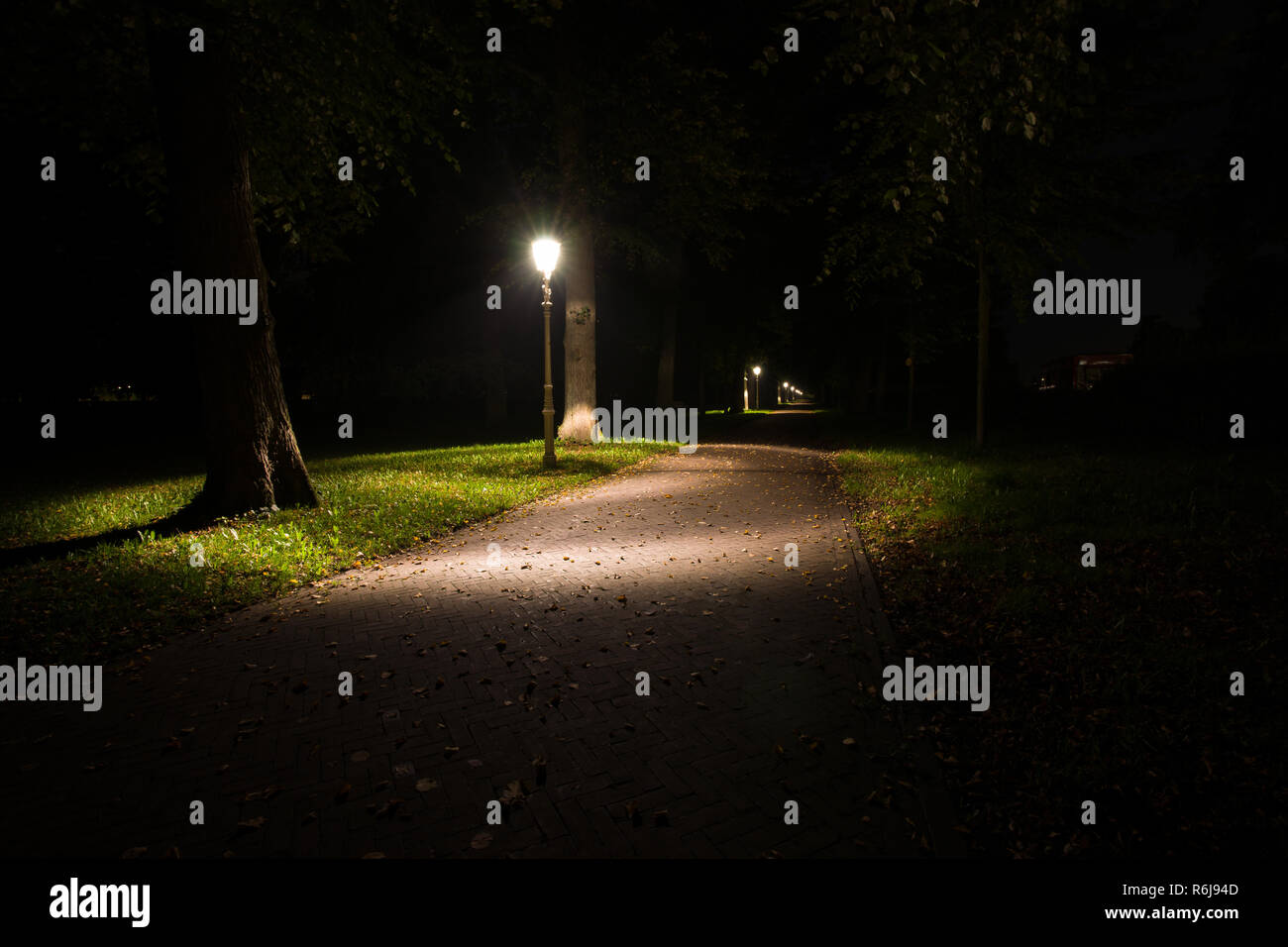 Night park alley illuminated by lamp posts, vintage toning. A lonely ...
