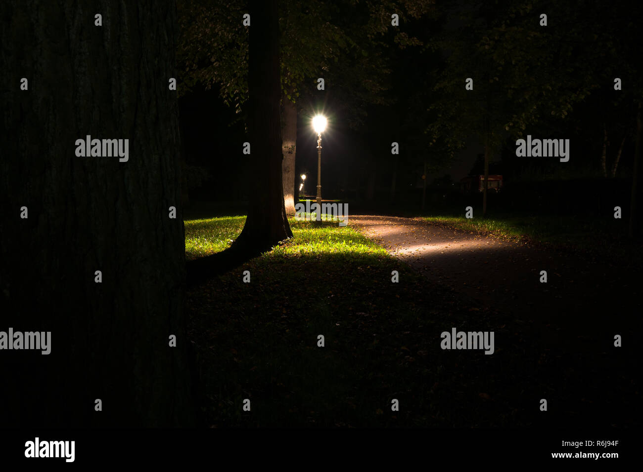 Night park alley illuminated by lamp posts, vintage toning. A lonely ...