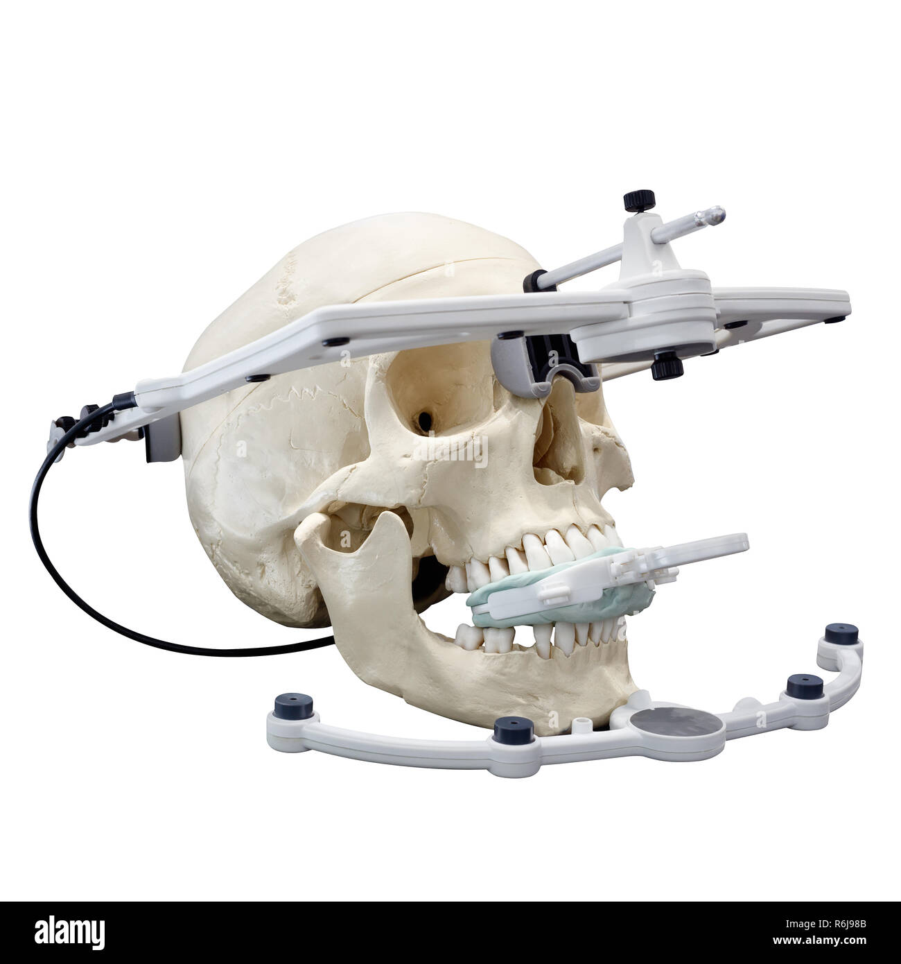 Hygiene tooth toothache x ray Cut Out Stock Images & Pictures - Alamy