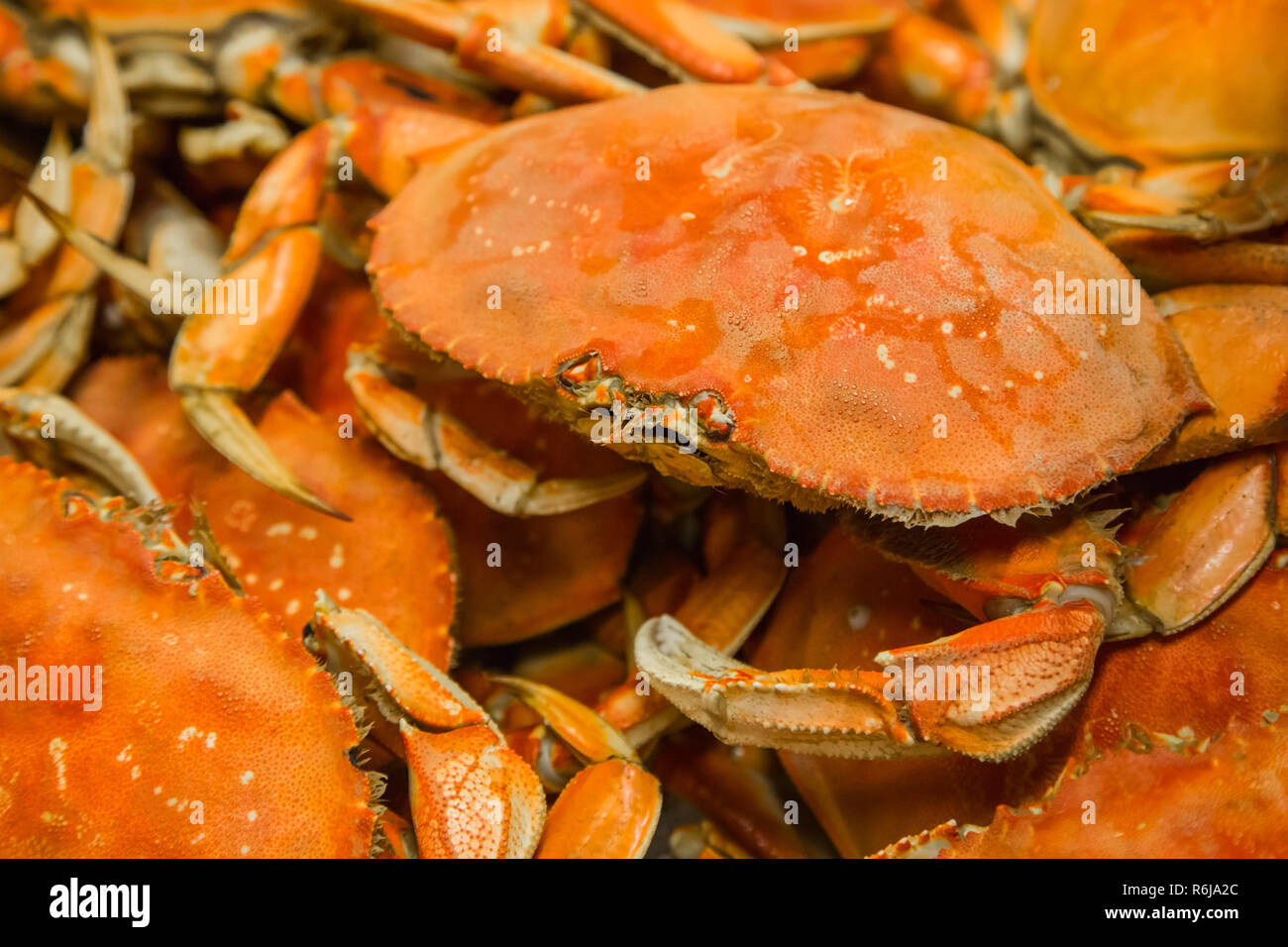 Boiled crabs background Stock Photo - Alamy