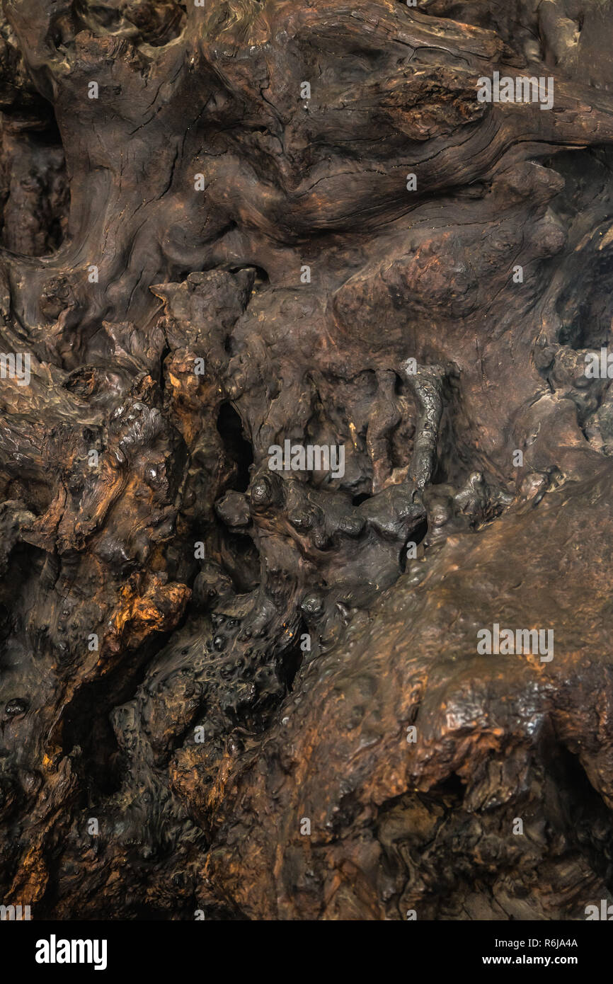 Burnt snag, the texture of a dark, twisted tree Stock Photo - Alamy