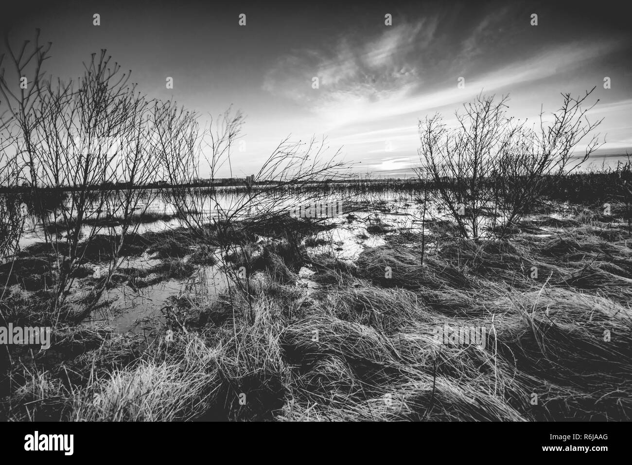 The flooded floodplains of the national landscape "the IJsseldelta ...