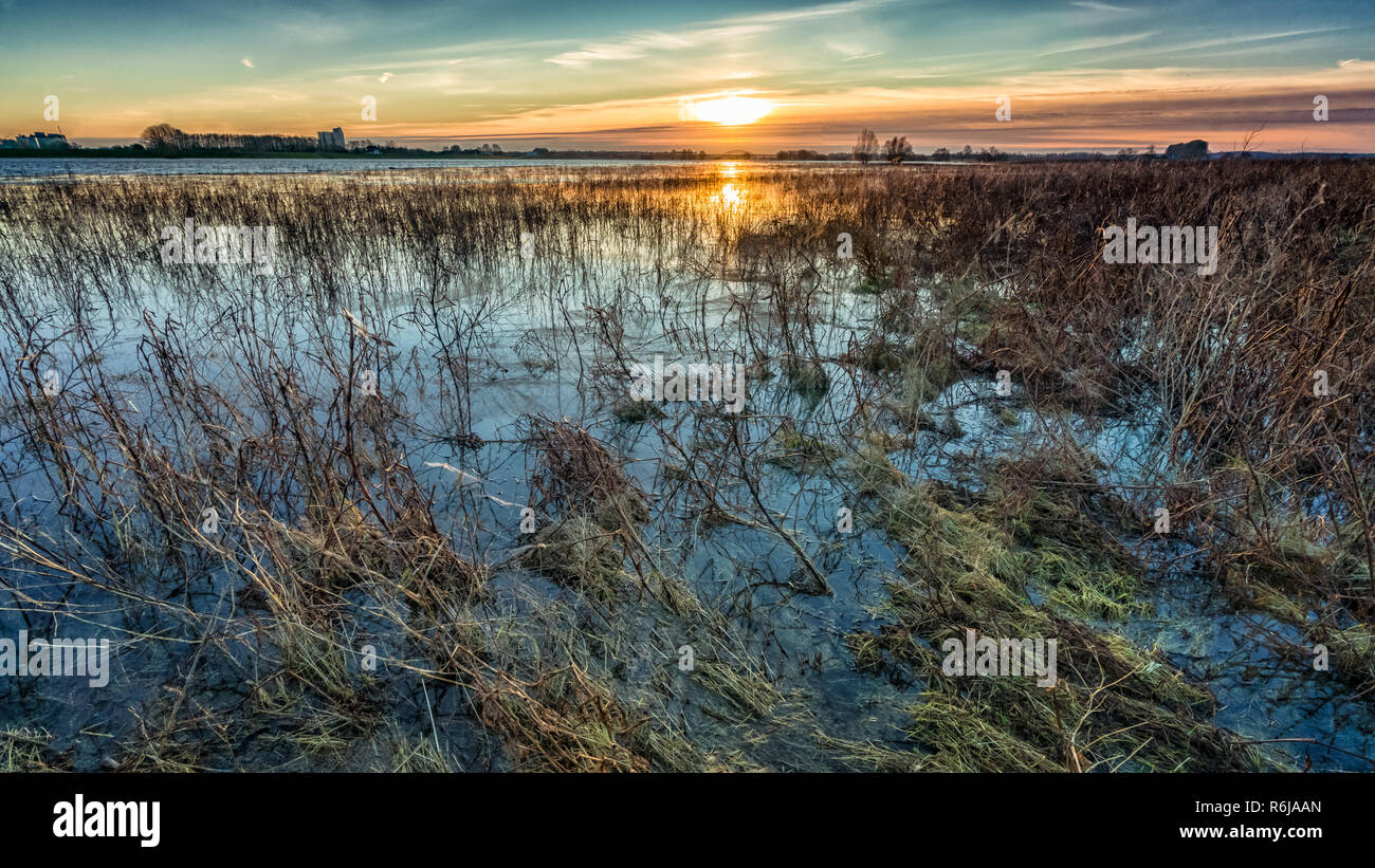 Grassy steppes hi-res stock photography and images - Alamy