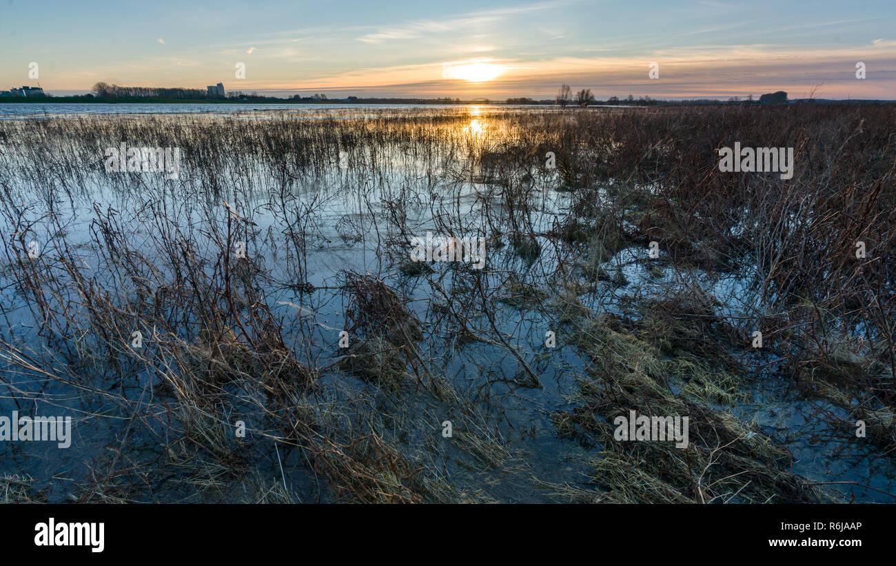 Flooded grass field and floodplains with a beautiful view of the flat ...